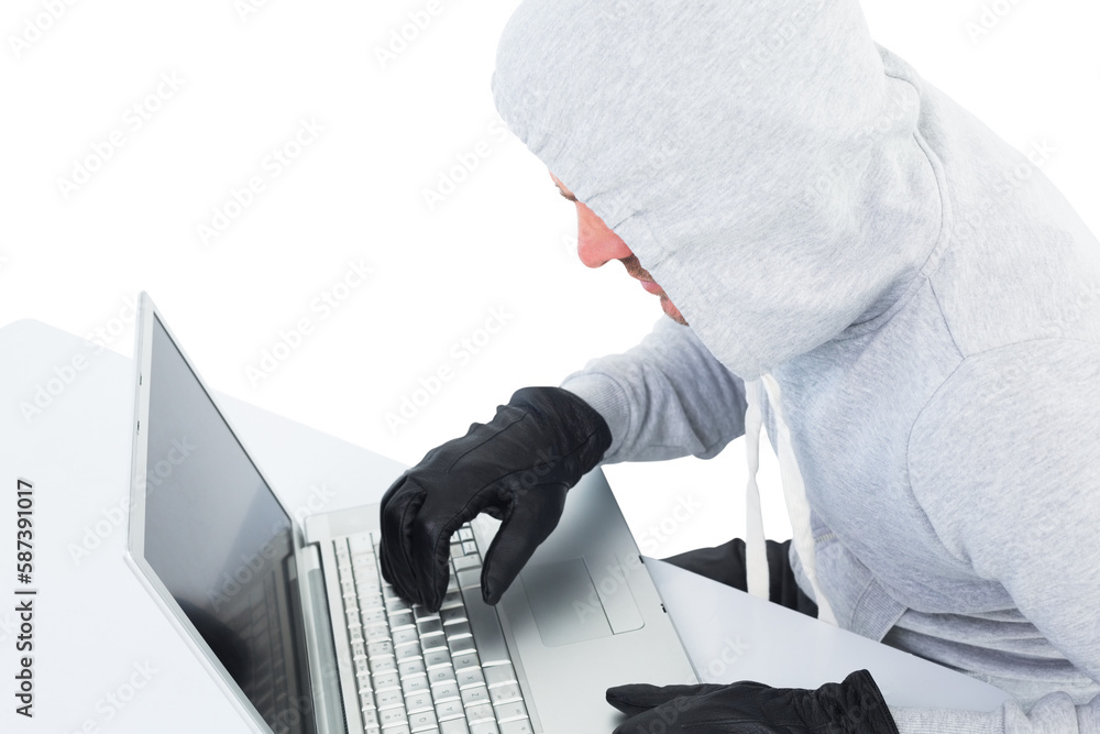 Hacker using laptop to steal identity Stock Photo | Adobe Stock