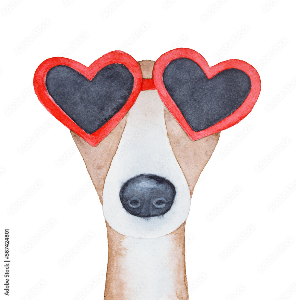 Watercolour illustration of elegant whippet dog wearing heart-shaped ...