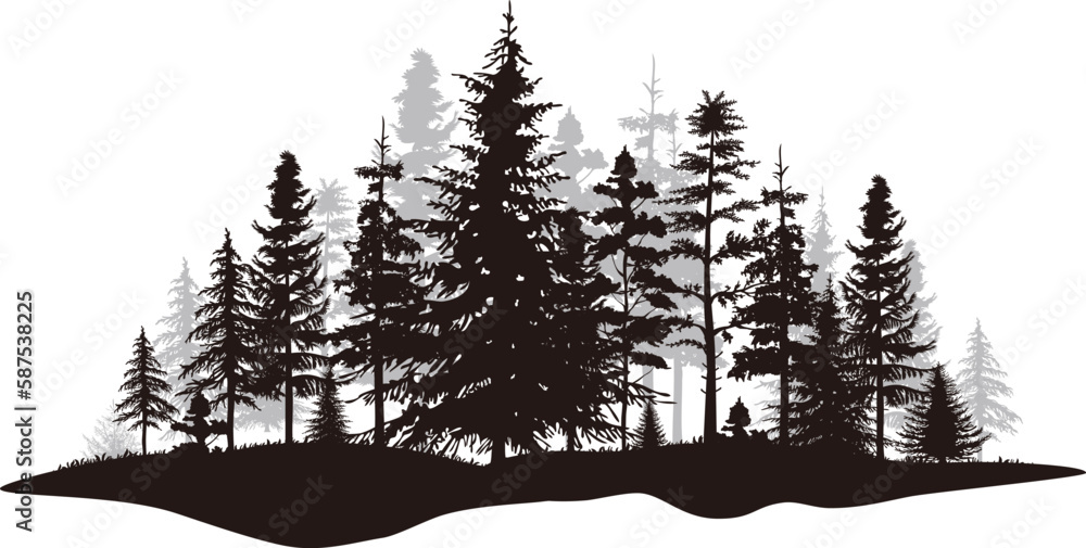 Pine tree vector illustration set. Black silhouette landscape. Stock ...