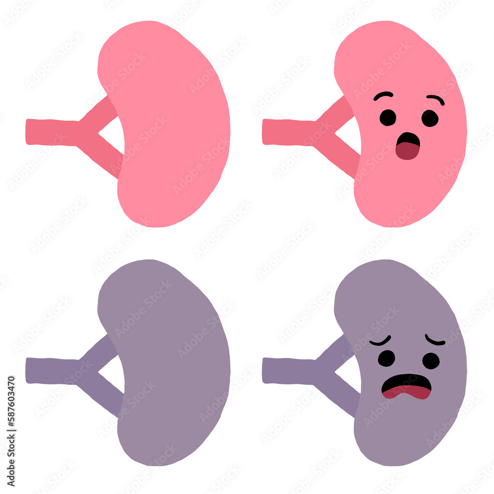 Cute Human Organ Spleen Anatomy Cartoon Character Stock Illustration ...