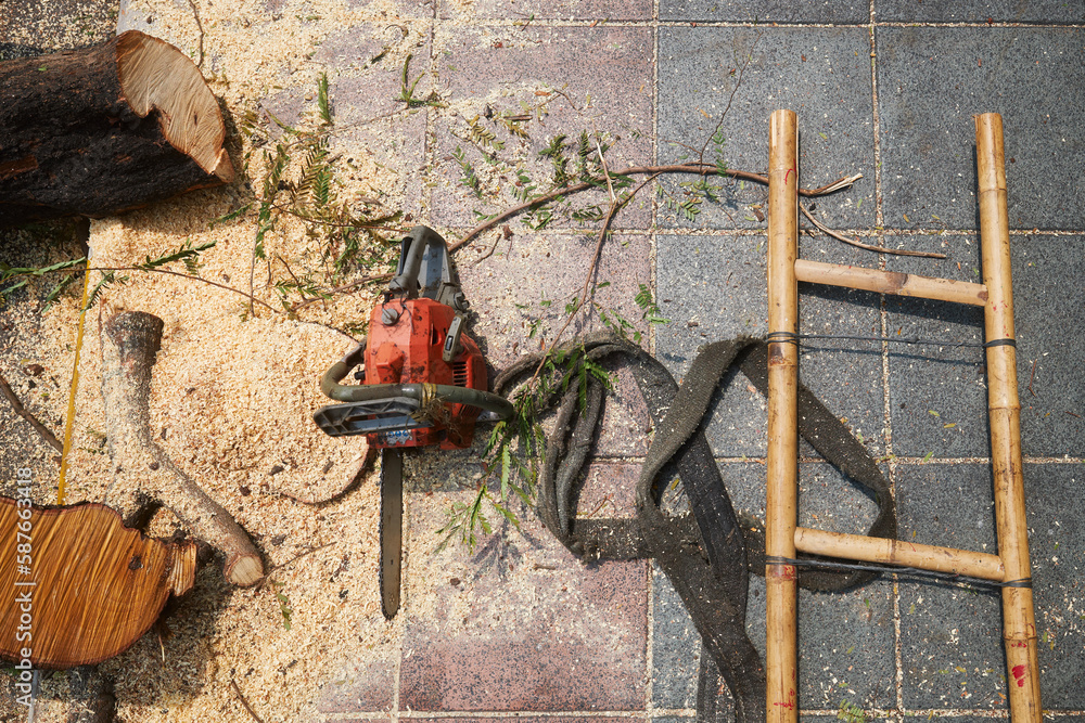 Chainsaw and ladder in the middle of the sawdust on sidewalk during the ...