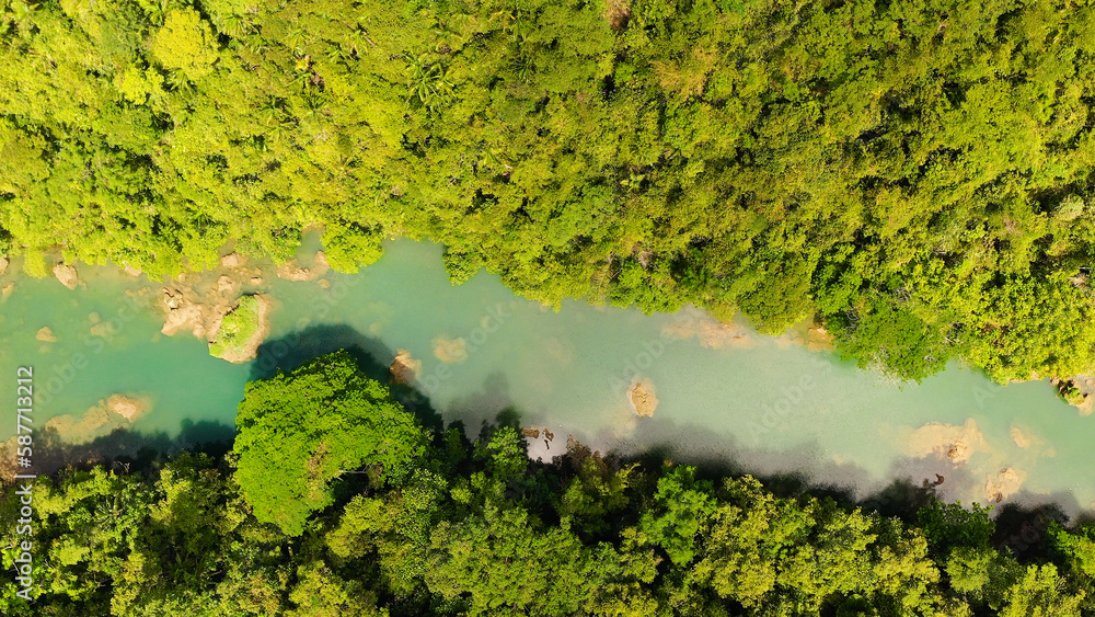 Green tropical forest and the blue river. Loboc River in the jungle ...