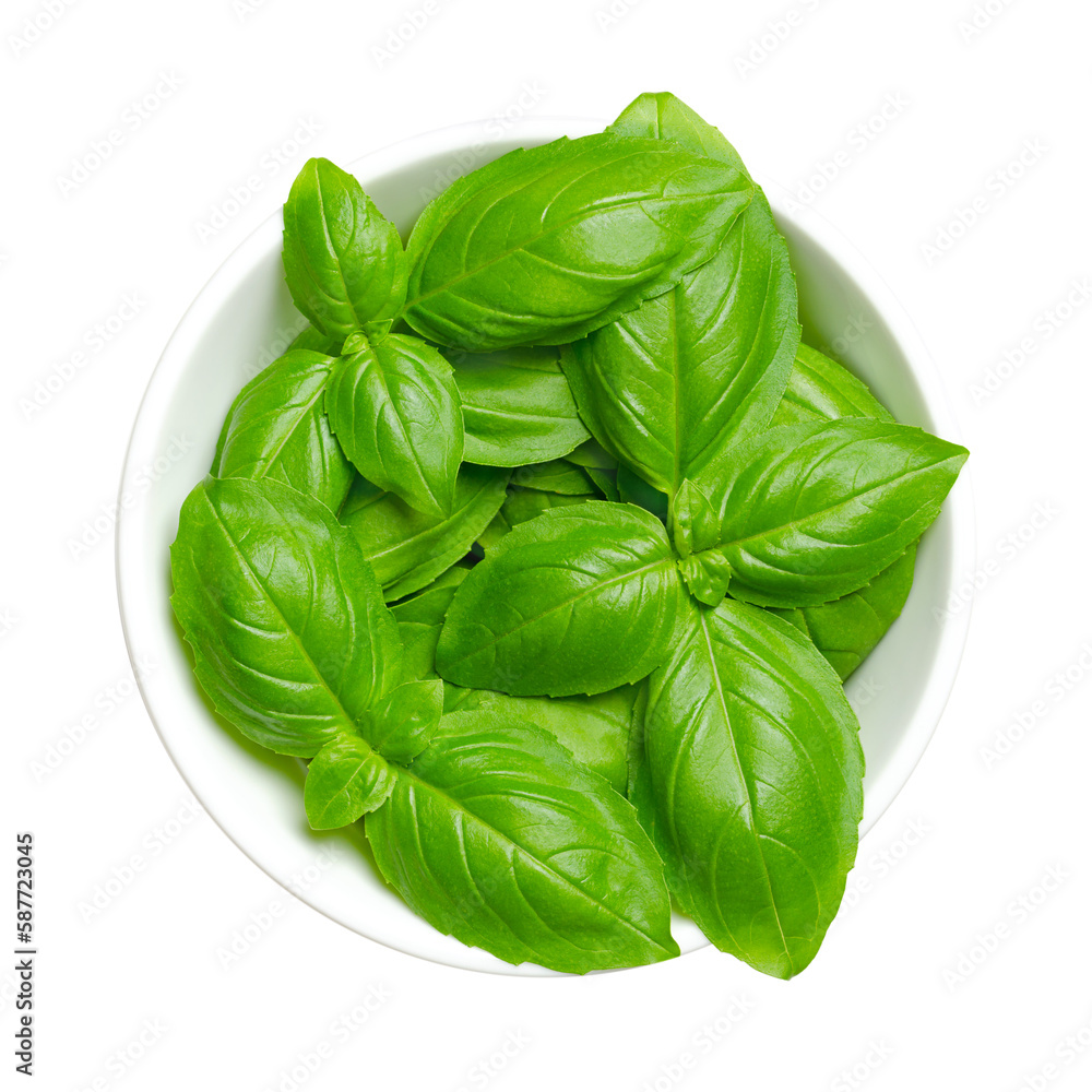 Fresh green sweet basil leaves, in a white bowl. Also known as great ...