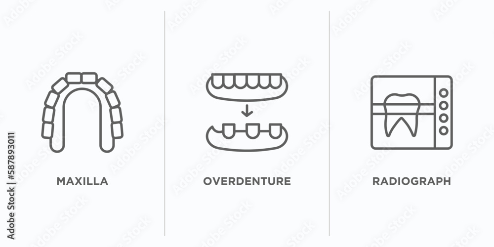 dentist outline icons set. thin line icons such as maxilla, overdenture ...