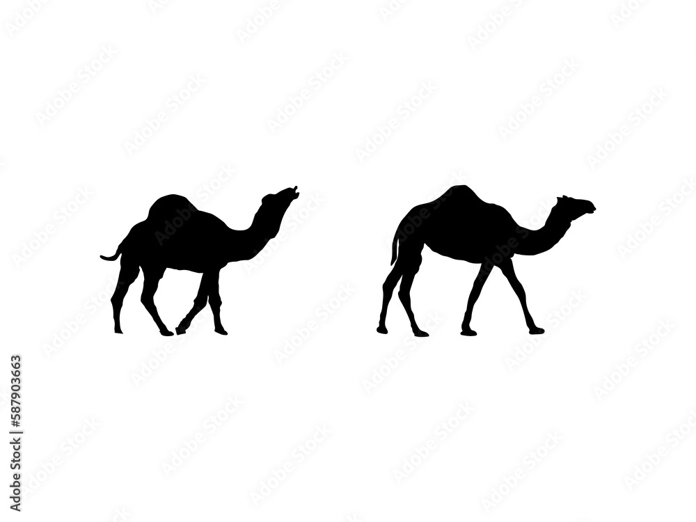 Camel icon silhouette vector illustration Pedigreed camels. Silhouettes ...