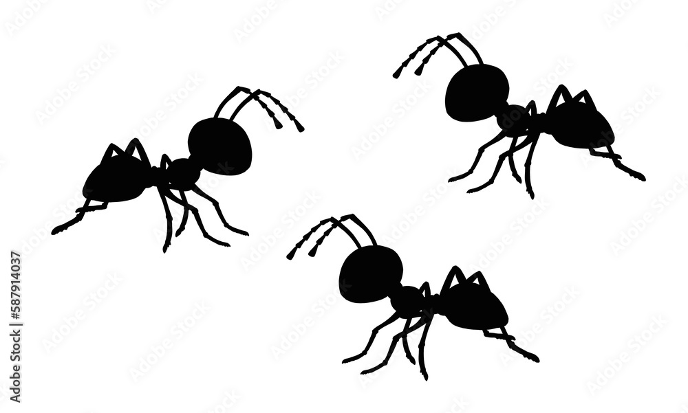 Black silhouette of ant colony. Template with funny ants. Template for ...