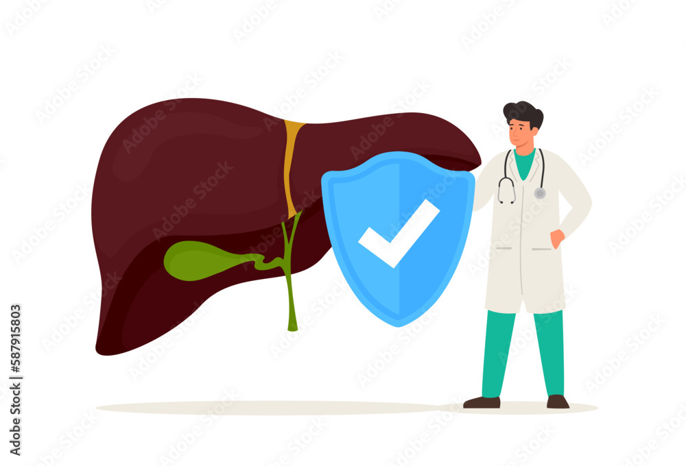 Healthy protected liver. Doctor with liver icon protected with shield ...