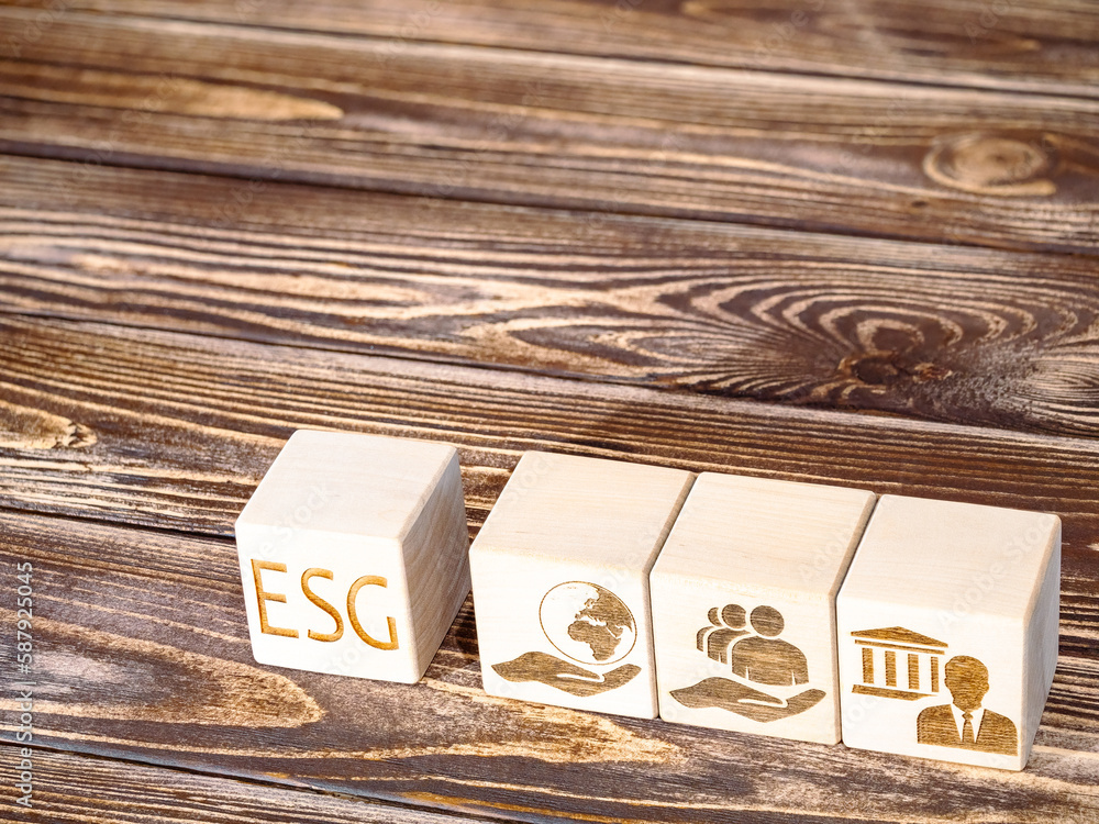 ESG symbols as a concept of the principles of sustainable development ...