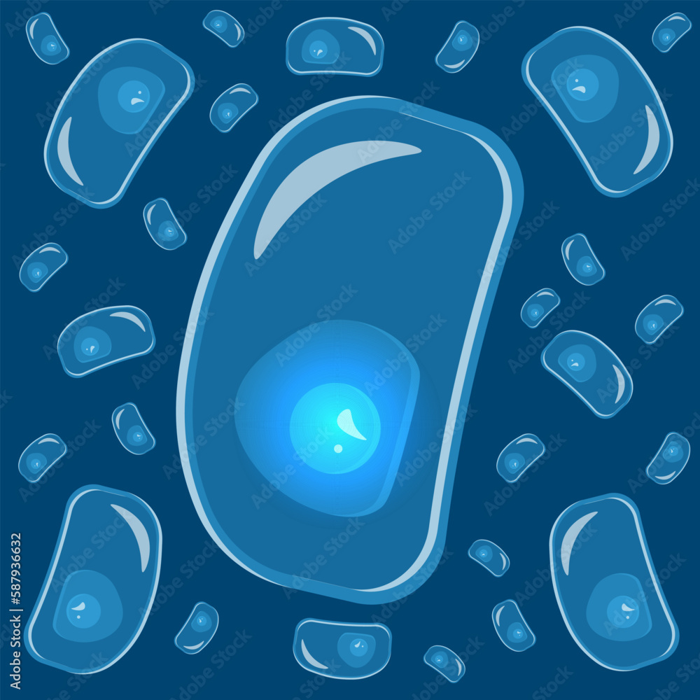 Flat Illustration Of The Infusoria Of The Slipper A Human Cell With Flat Illustration Of The Infusoria Of The Slipper A Human Cell With
