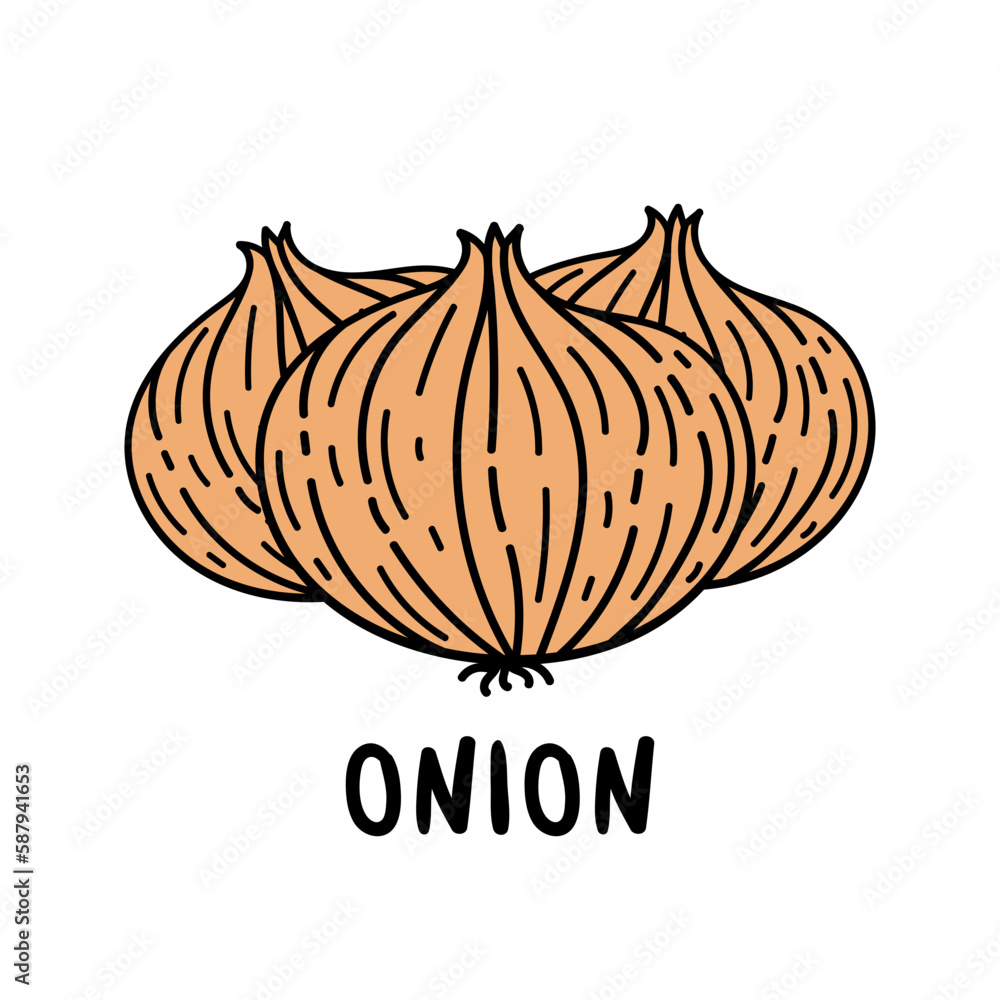 Onion cartoon isolated on white. Stock vector illustration. Stock ...
