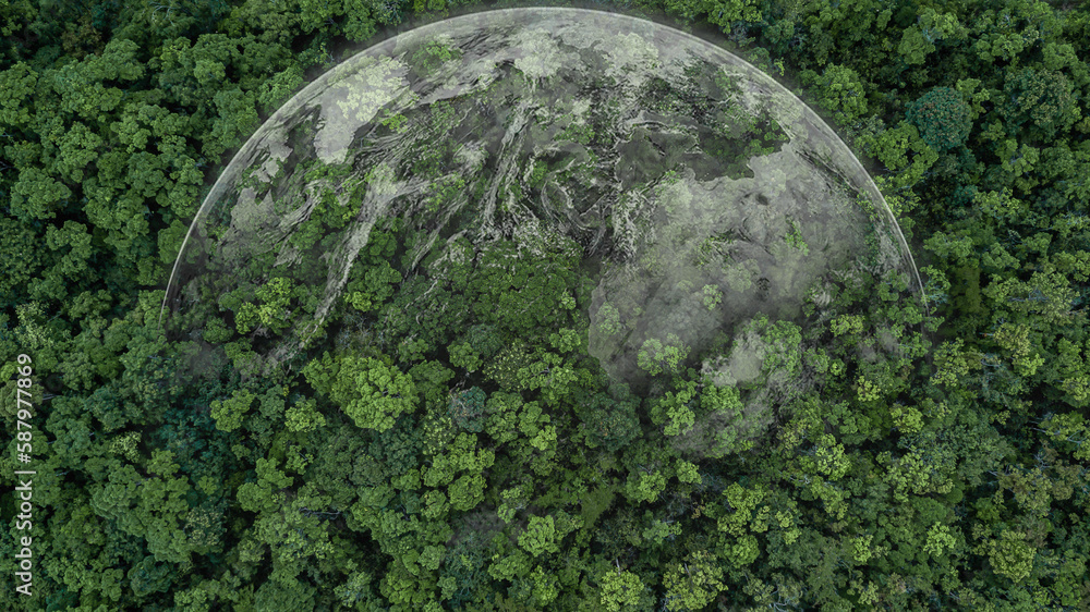 Aerial top view green forest with globe earth, Green planet in your ...