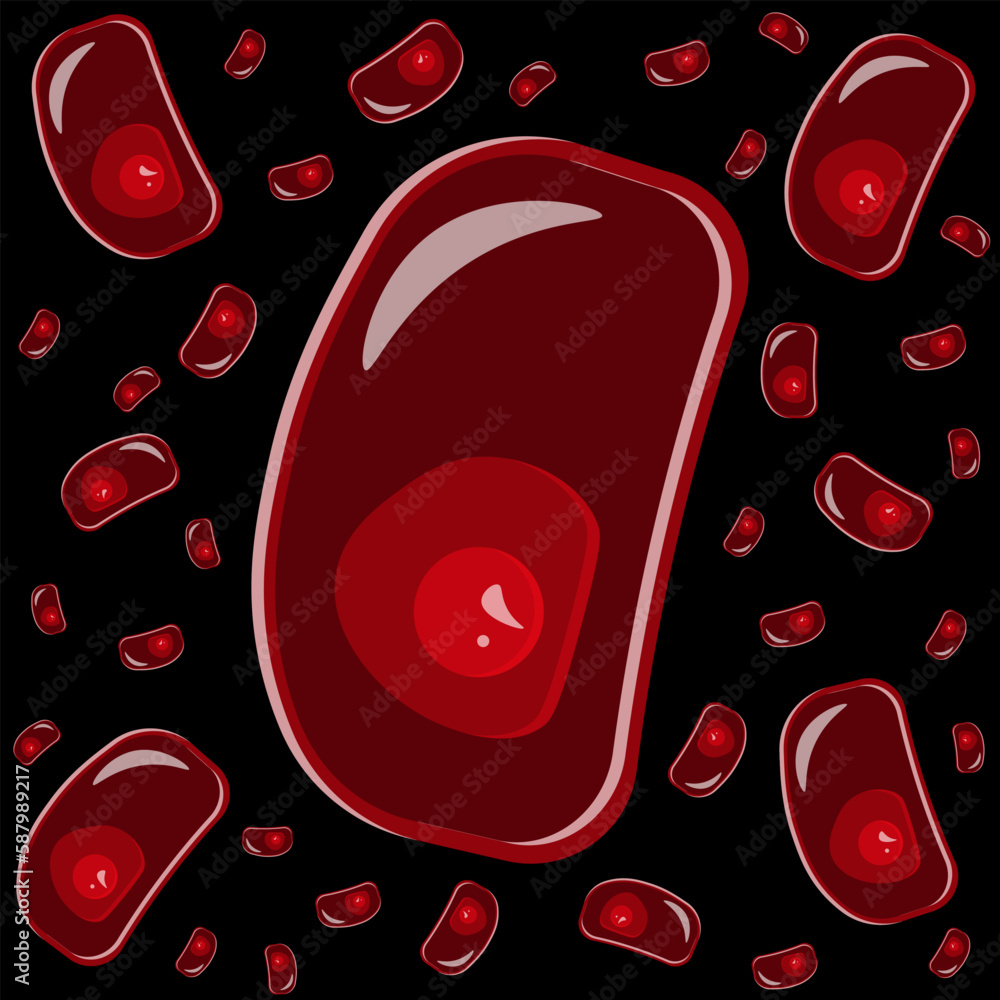 Flat illustration of the infusoria of the slipper. A human cell with ...