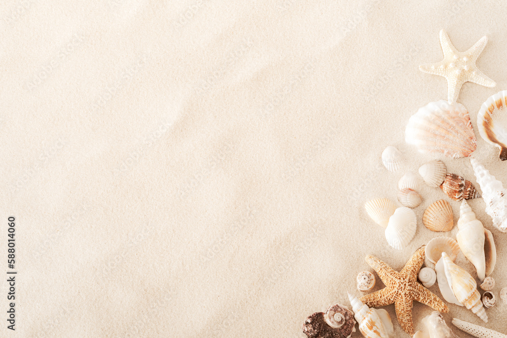 Top view of a sandy beach with collection of exotic seashells and ...