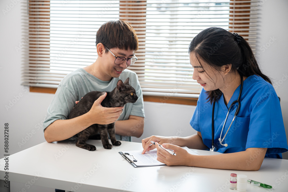 Professional vet doctor helps cat. owner cat holding pet on hands. Cat ...