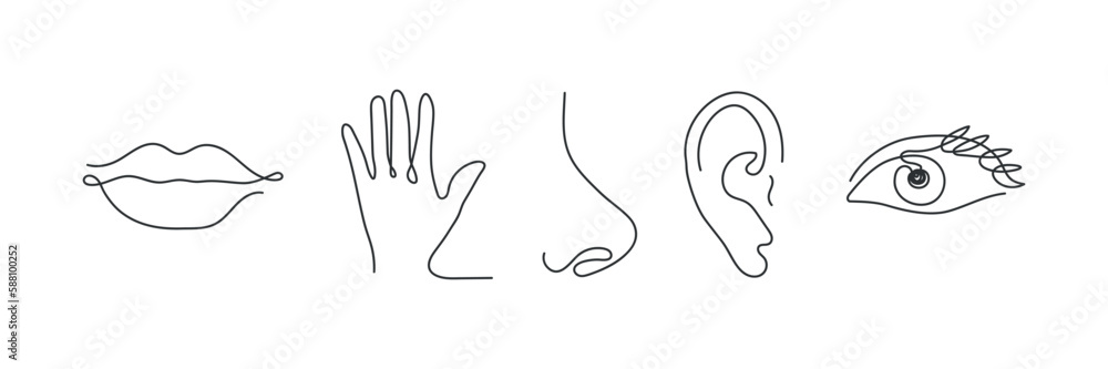 Photo & Art Print Five human senses one line drawing set, Tatiana