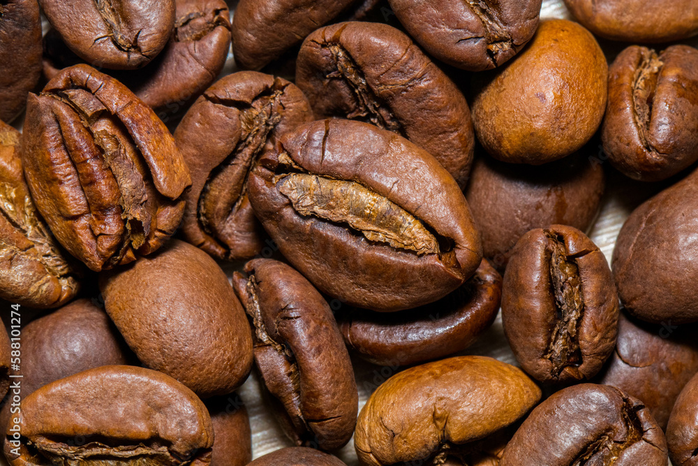 Foto de A coffee bean is a seed of the Coffea plant and the source for ...