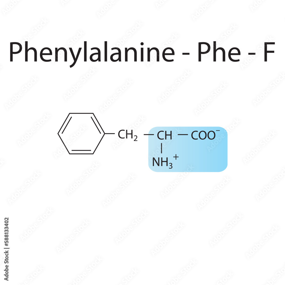 Phenylalanine - Phe - F amino acid structure. Skeletal formula with ...