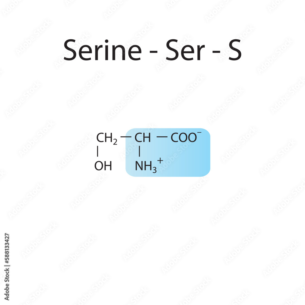 Serine - Ser - S amino acid structure. Skeletal formula with amino ...