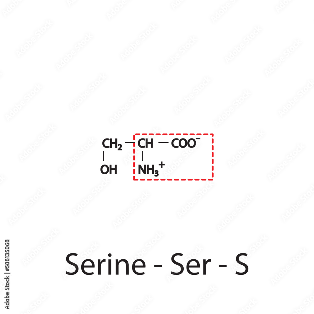 Serine - Ser - S amino acid structure. Skeletal formula with amino ...