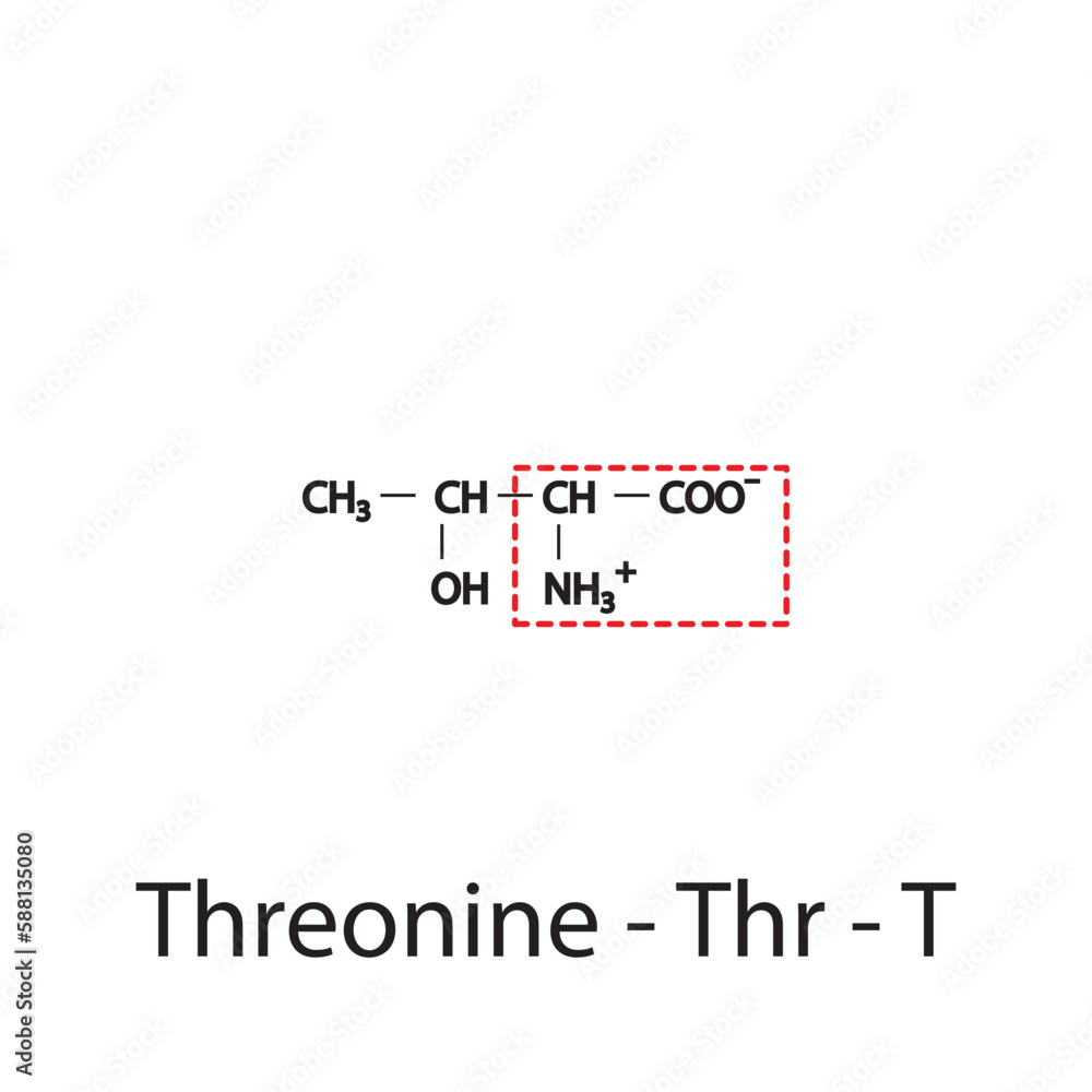Threonine - Thr - T amino acid structure. Skeletal formula with amino ...