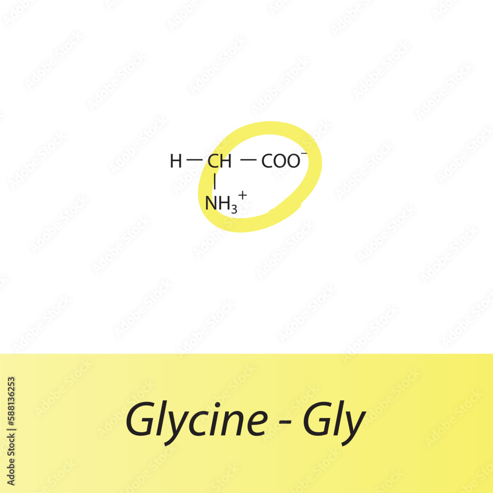 Vetor de Glycine - Gly - G amino acid structure. Skeletal formula with ...
