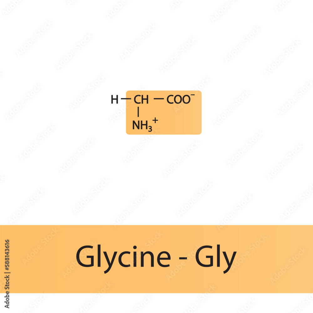 Vetor de Glycine - Gly - G amino acid structure. Skeletal formula with ...