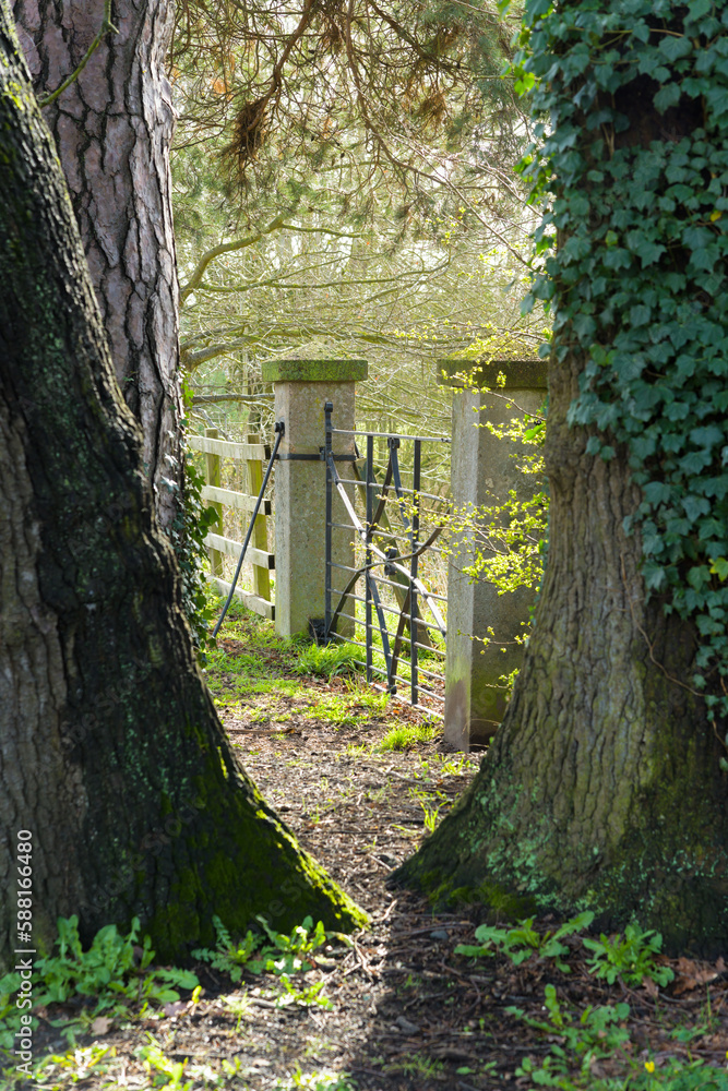 Metal gate hung on stone pillars between two trees in countryside Stock ...