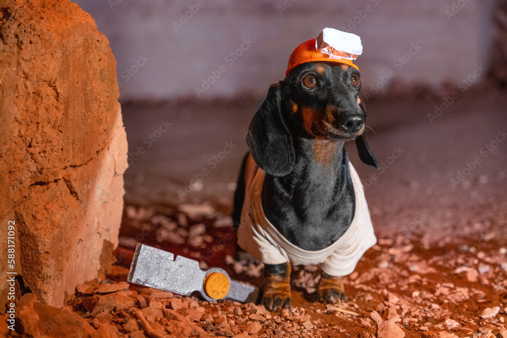 Dog helmet lantern miner stands in underground cave next to a pickaxe ...