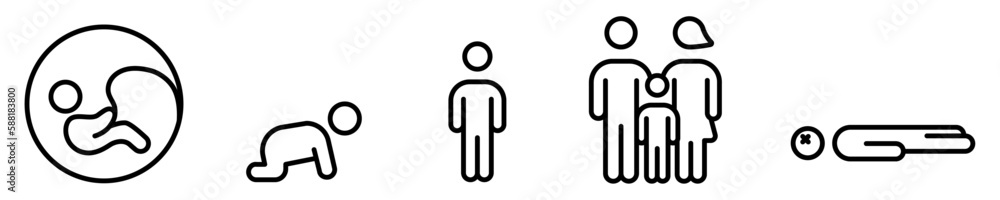 Infografia De Etapas Del Ciclo De Vida Humano Ilustracion Vectorial ...