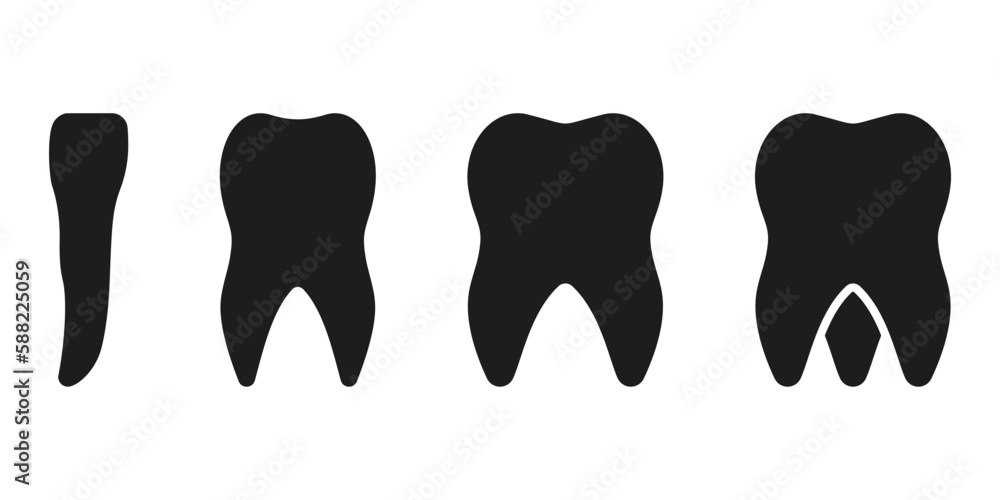 Types of Human Teeth Silhouette Icon. Incisor, Canine, Premolar, Molar ...