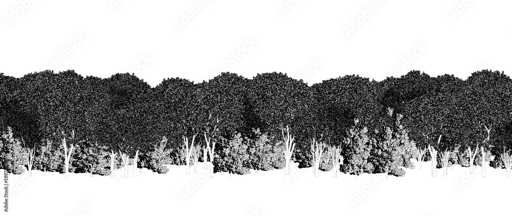 trees in the forest isolated on a transparent background, sketch ...