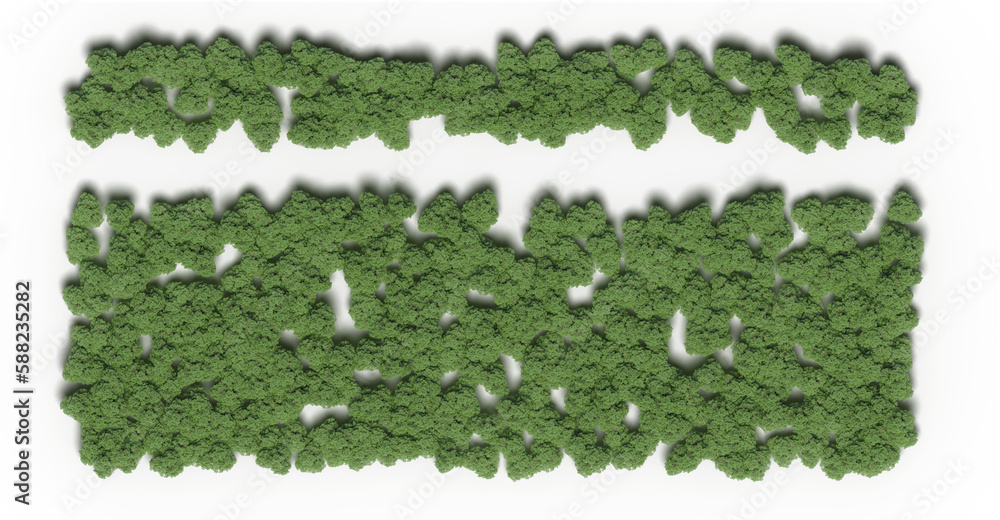 trees in the forest, top view, area view, isolated on transparent ...