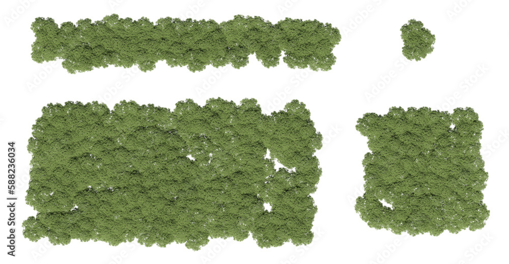 trees in the forest, top view, area view, isolated on transparent ...