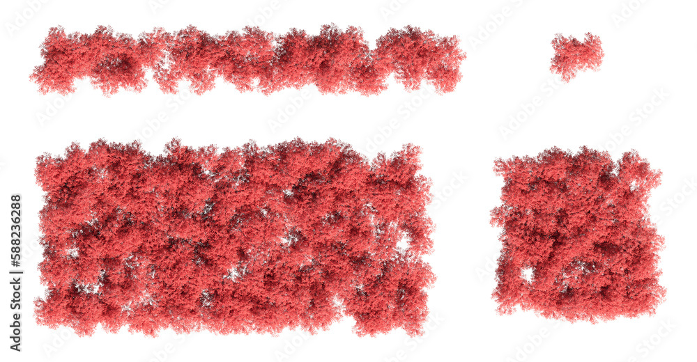 trees in the forest, top view, area view, isolated on transparent ...