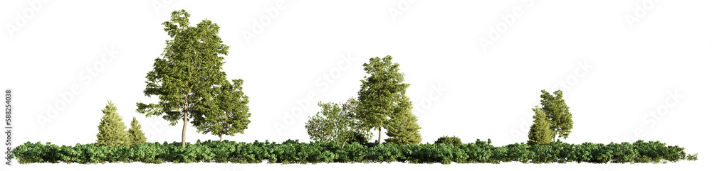 forest landscape, natur scene with green trees and shrubs, isolated on ...