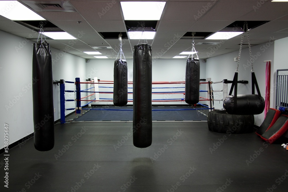 Training room which includes gym, punching bags, and a boxing ring ...