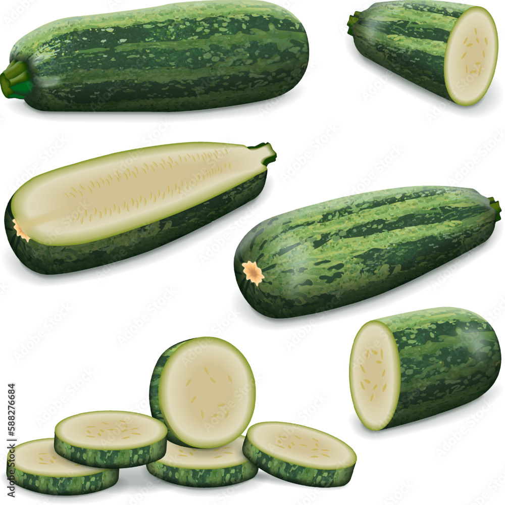 Set with whole, half, quarter, slices of Marrow Squash or vegetable ...