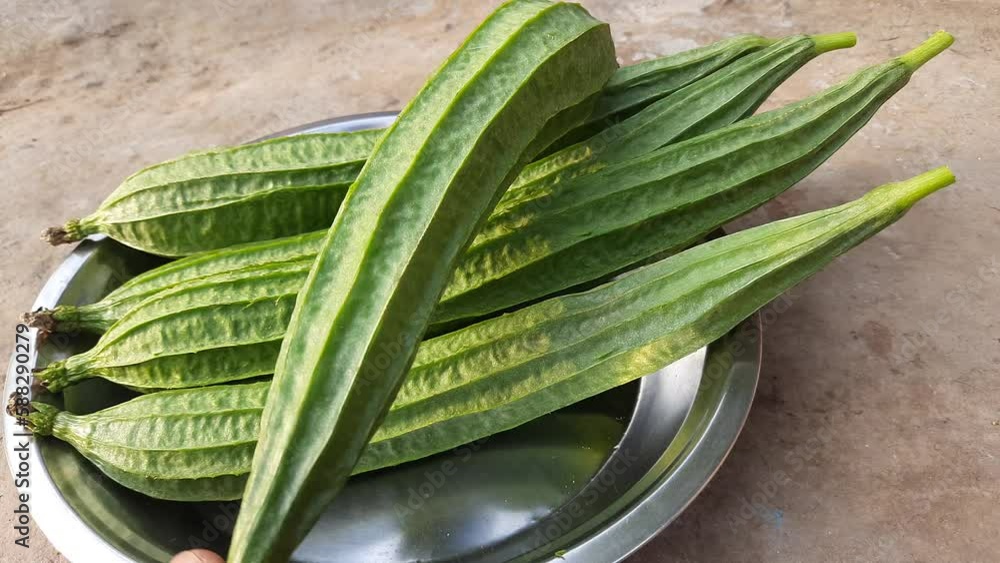 Luffa acutangula. Its other names angled luffa, Chinese okra, dish ...