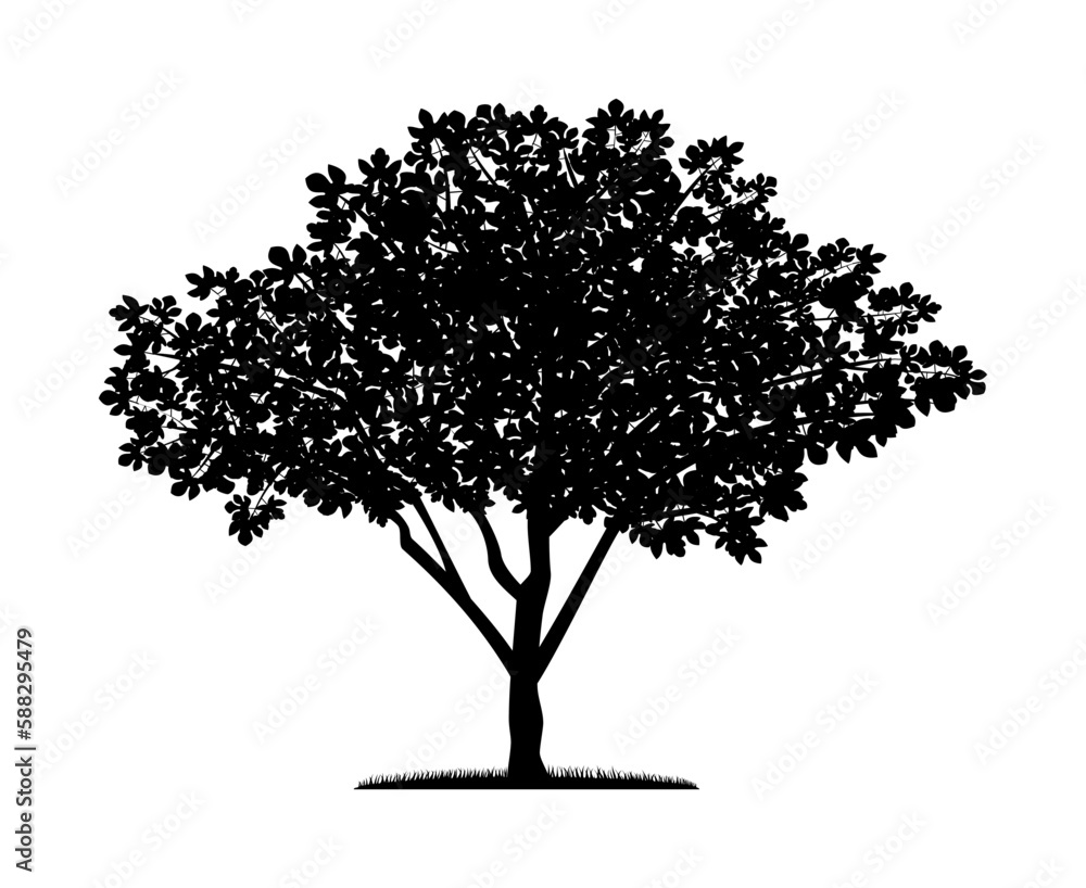 Vector silhouette of fig tree. Isolated vector silhouette of fig tree ...