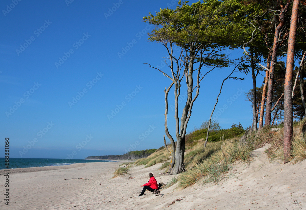 der einsame Weststrand bei Prerow der Halbinsel Fischland-Darß-Zingst liegt im Nationalpark an ...