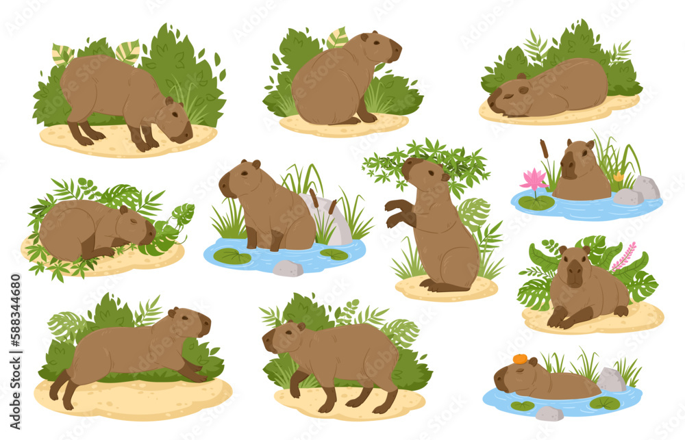 Capybara animals. Cartoon semi-aquatic wild animals, cute herbivore mammals in natural habitat ...