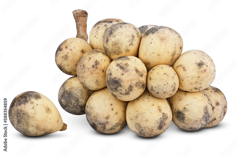 Bunch of ripe Langsat or Lanzones fruit isolated on transparent ...