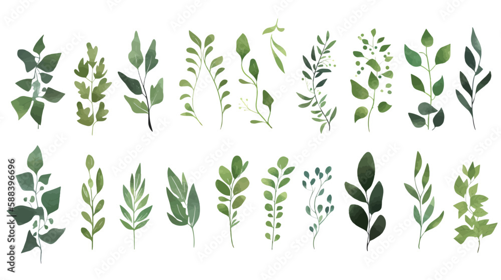 A Branch, Limb, Leaf, Leaves, of Grenn Tropical Tree (Fern, Eucalyptas ...