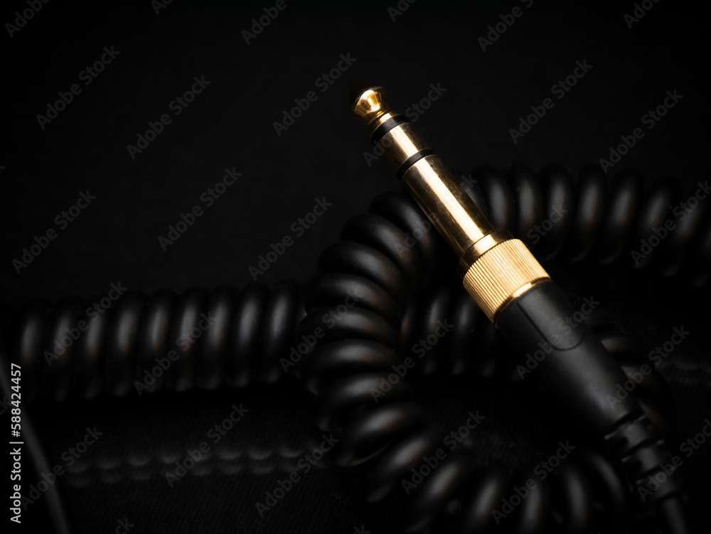 Gold-plated TRS connector for the analog audio signal are placed ...