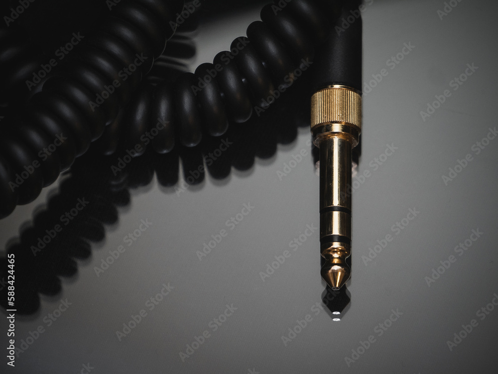 Gold-plated TRS connector for the analog audio signal are placed ...