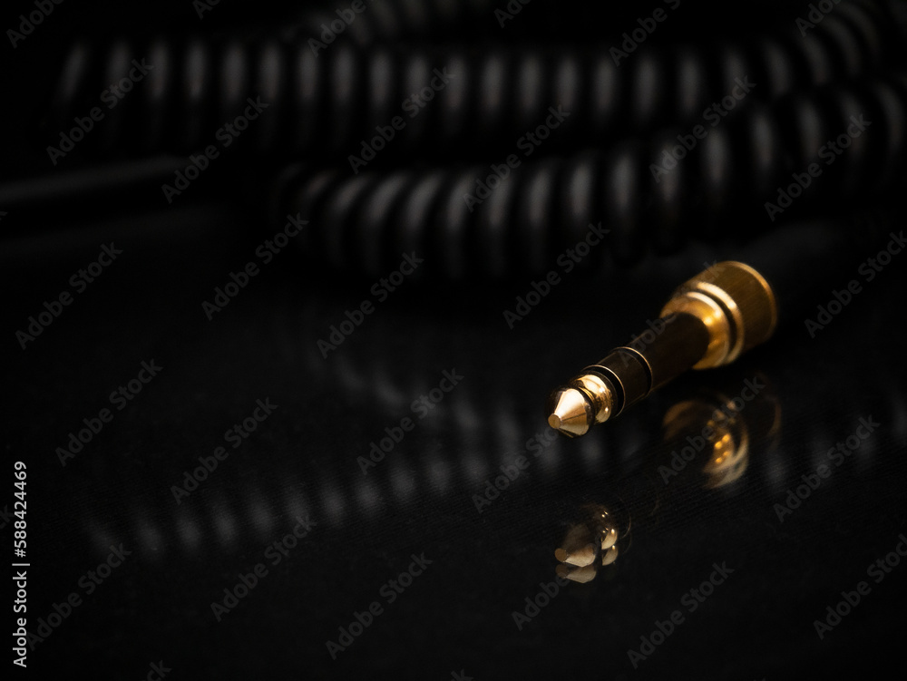 Gold-plated TRS connector for the analog audio signal are placed ...