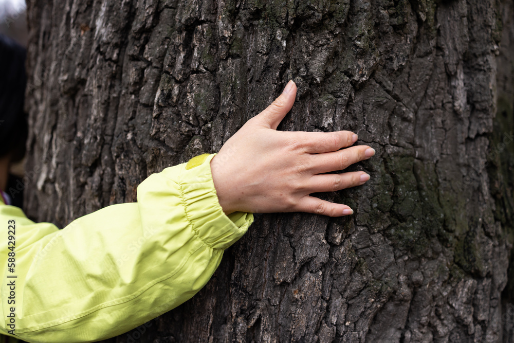 Human hand touching tree in rainforest, love nature concept Stock Photo ...