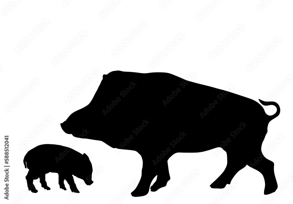 Male warthog with baby pig vector silhouette illustration isolated on ...