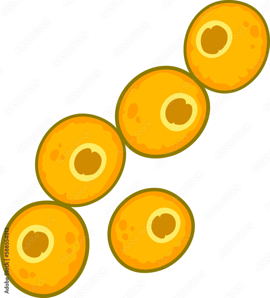 Protista, protozoa ameba organism cartoon bacteria Stock Illustration ...