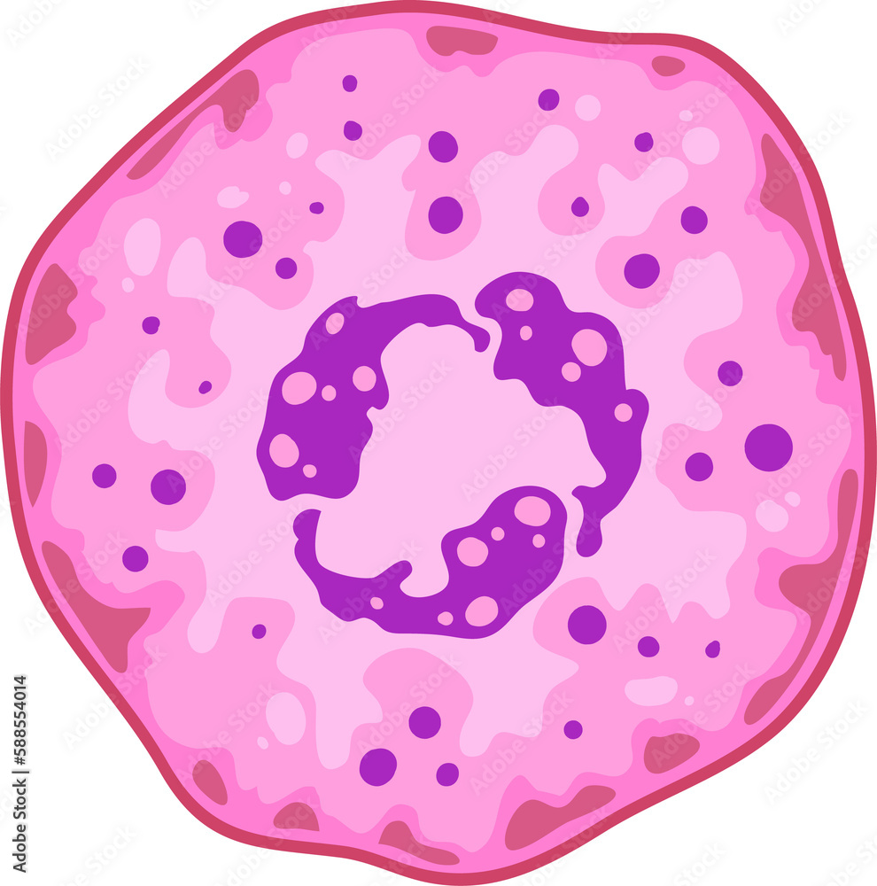 Protista cartoon bacteria, pink comic protozoa Stock Illustration ...